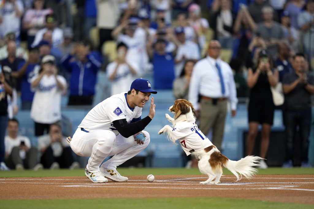 Ohtani homers and has 2 steals in Dodgers’ 6-4 win over Orioles. He and his dog handle first ...